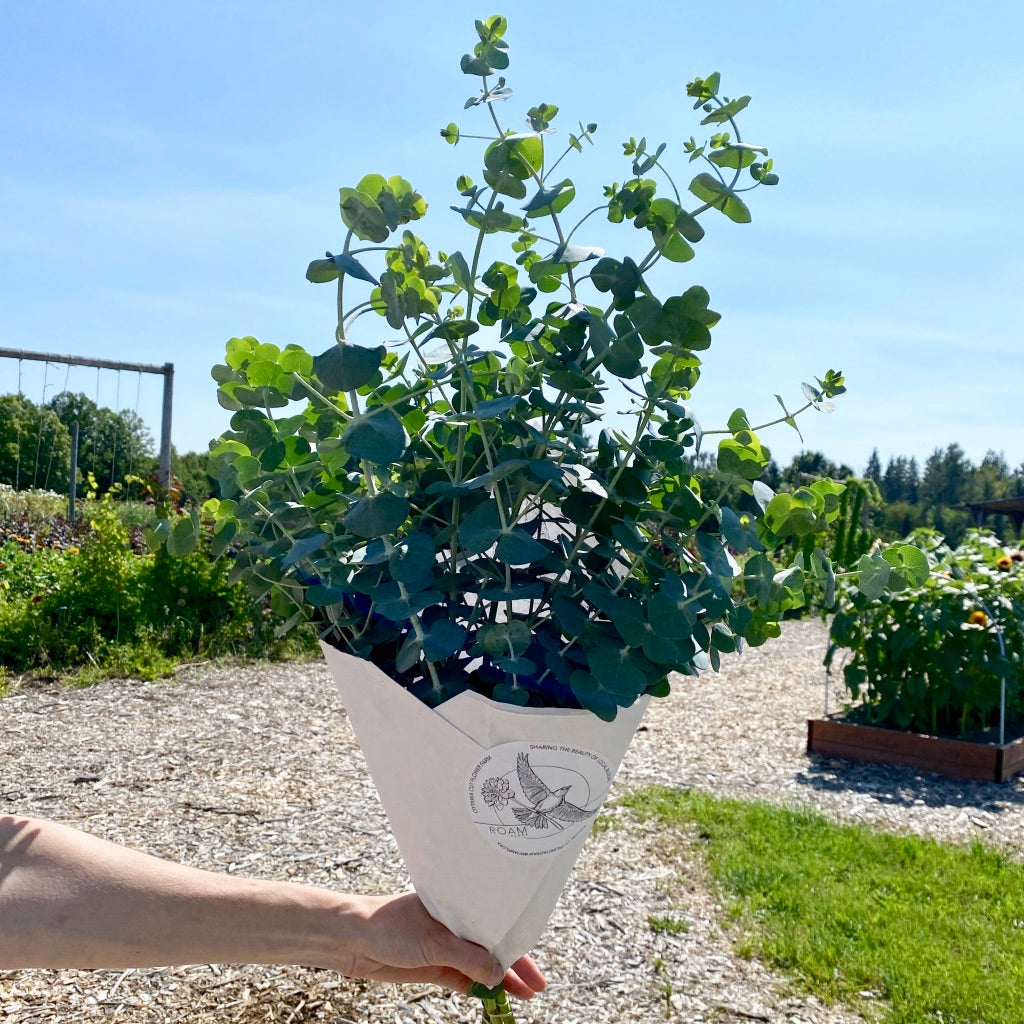 Shop Flowers - Roam Flora